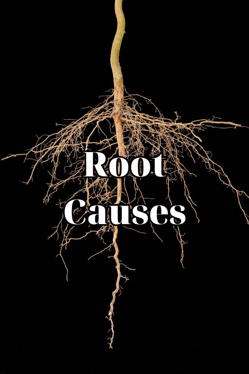 Overcoming Mom Guilt - Blog