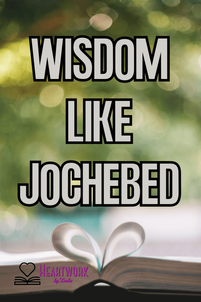 Lessons from Bible Moms: Motherly Insight - Blog